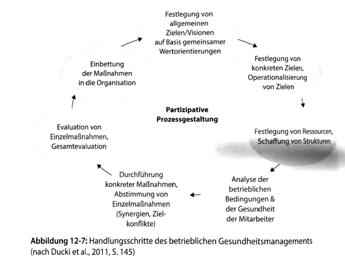 Nenne die 7 Schritte der partizipativen Prozessgestaltun... | 8 Arbeit & Arbeitsgruppen ...