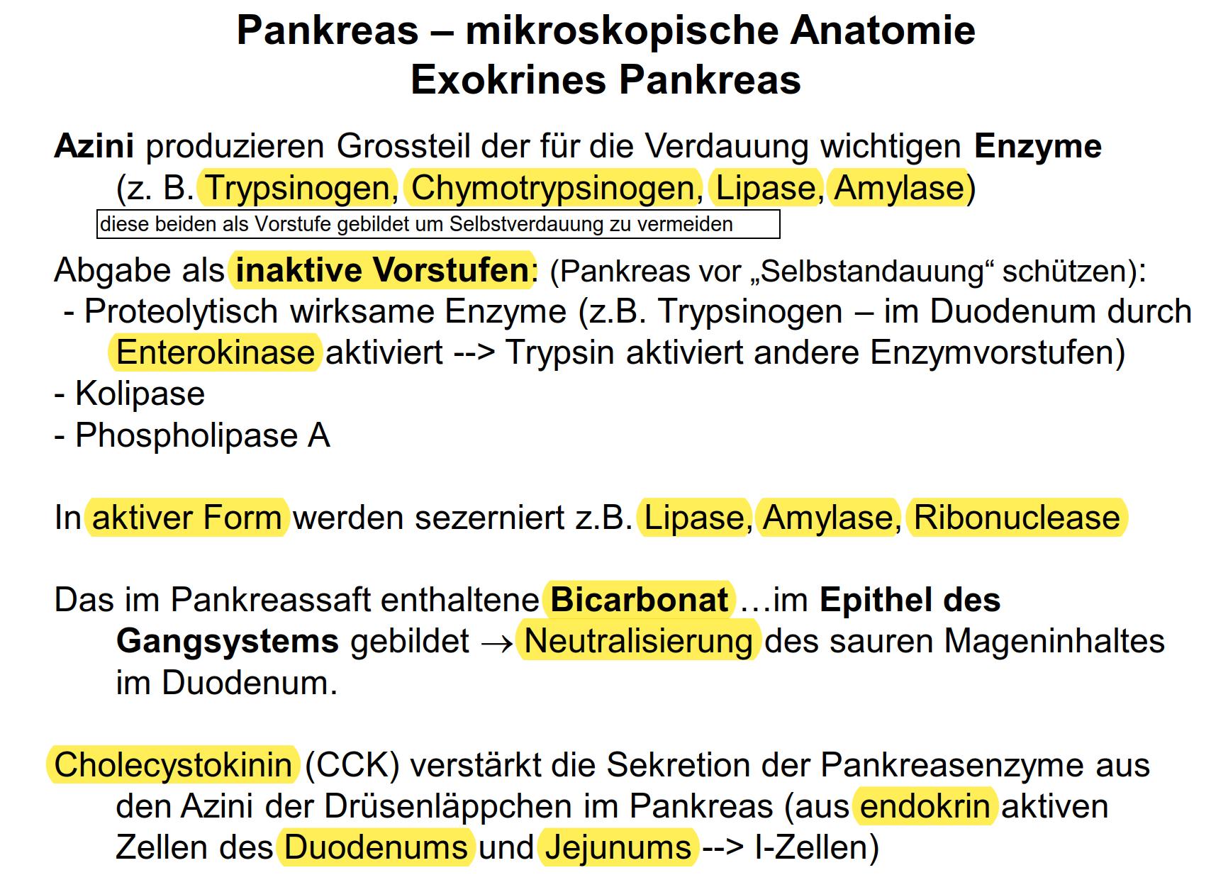 Welche Enzyme werden von den Azini der exokrinen Pankreas p…