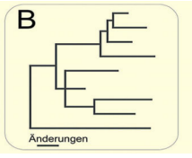 Was sind Dendrogramme?Welche Arten gibt es? | methoden der