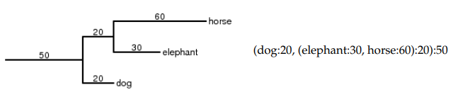 Was ist das Newick-Format? | methoden der bioinfo | Repetico