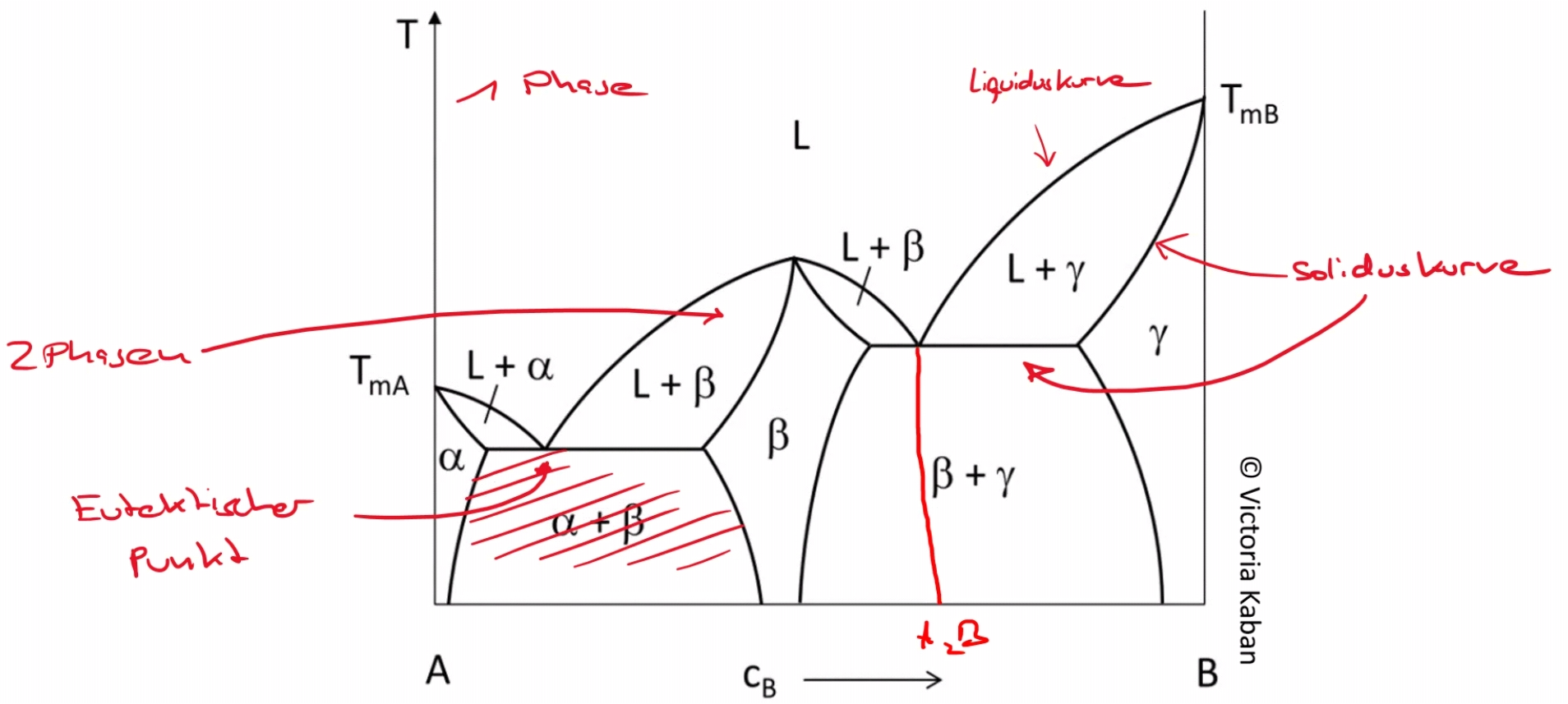 Ordnen Sie die Begriffe Schmelze, Liquiduskurve, Soliduskur…
