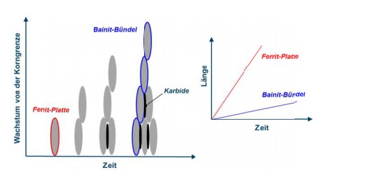 Beschreiben Sie den mikrostrukturellen Mechanismus der Bain…