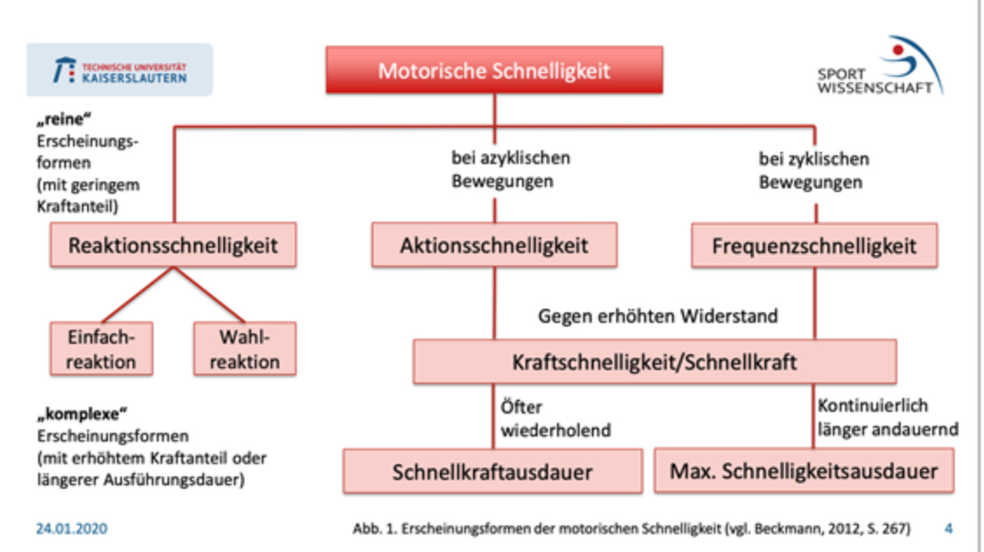 Definiere die motorische Fähigkeit Schnelligkeit | M 10 | Repetico