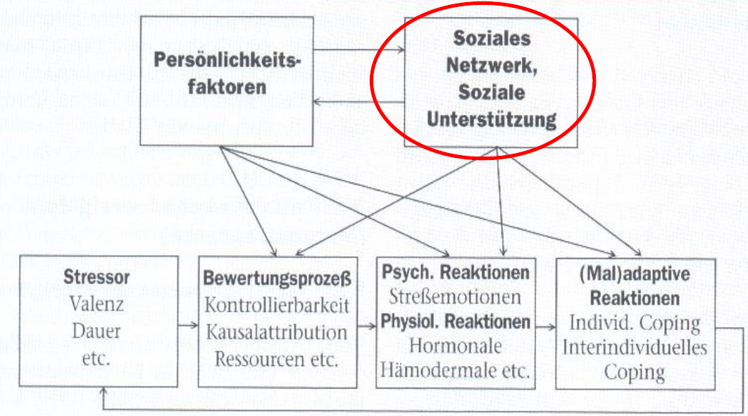 Ursachen psychischer Störungen + Beispiel | Pathophysiologie | Repetico
