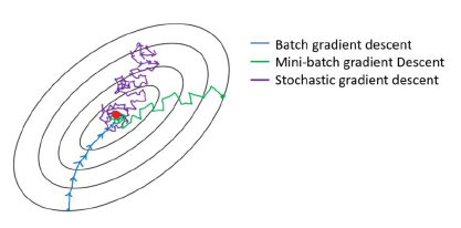 Erläutern Sie die Begriffe "Batch-Gradient-Descent", "Stoch…