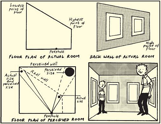 Was ist der Ames Raum? (Ames, 1952) | LG M3a Allgemeine Psy…