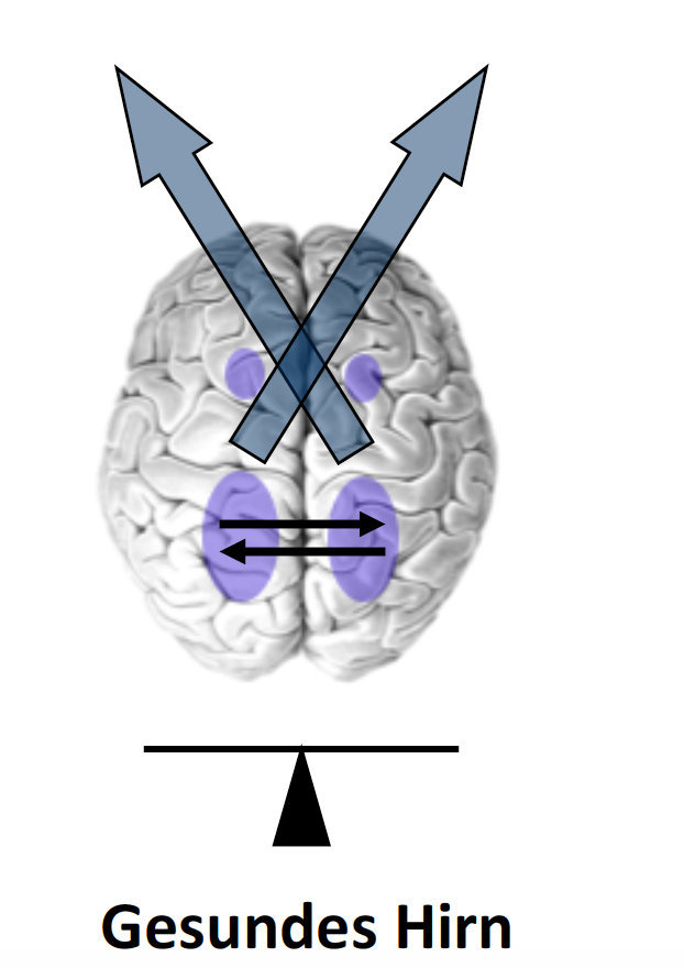 Therapeutische Applikation der NIHSBeispiel: visueller Negl…