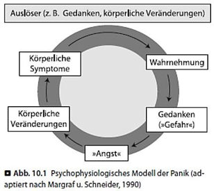 Panikstörung: Kognitive Modelle Teufelskreis der Angst... | 01_Basis_II ...