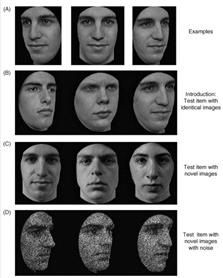 Agnosien Cambridge Facial Memory Test | 03 Neuropsy Diagno…