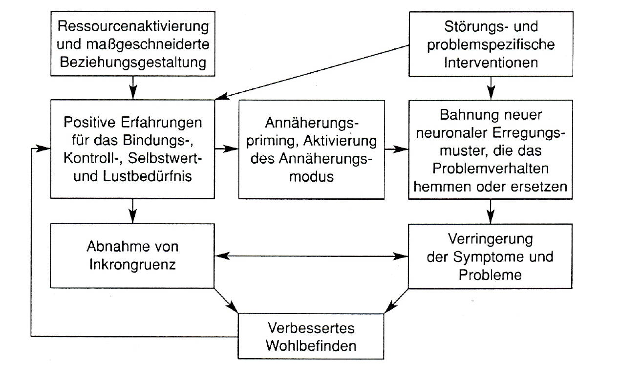 Multidimensionaler Therapieprozess ⇒ Modell von Grawe | 11_…