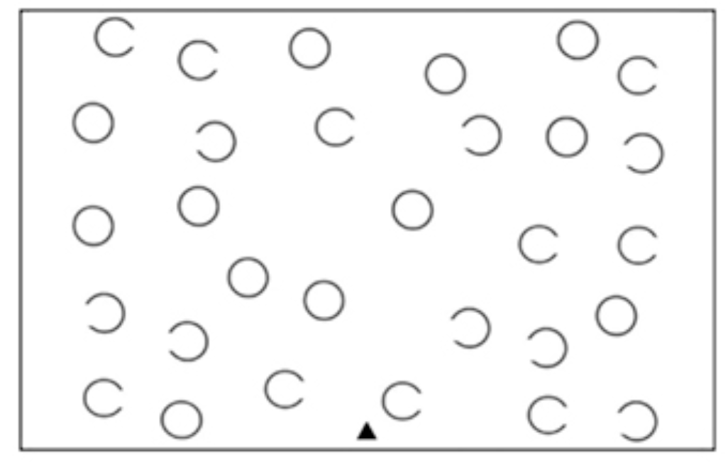 Durchstreichverfahren | 06 Neuropsy Diagnostik Neglect | Re…