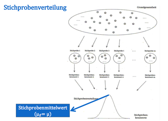 Gedankenexperiment: Zieht man aus einer Grundgesamtheit... | V 12 ...